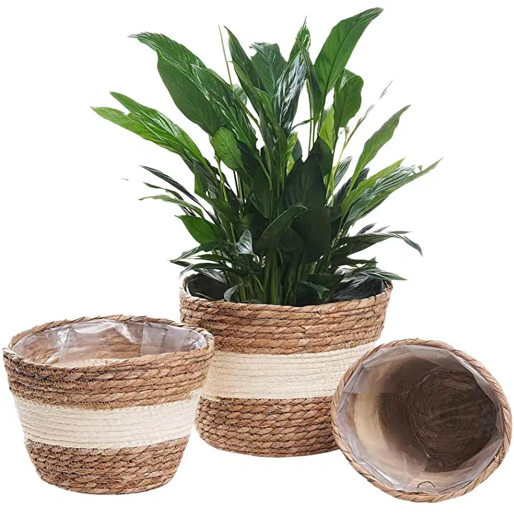 Cache pot osier plante - La boutique bohème