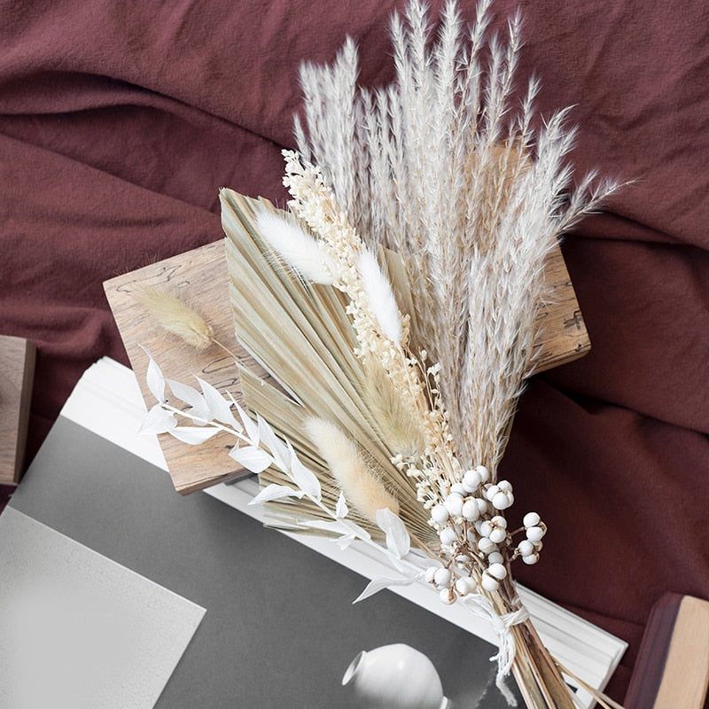 Herbes de Pampas - La boutique bohème